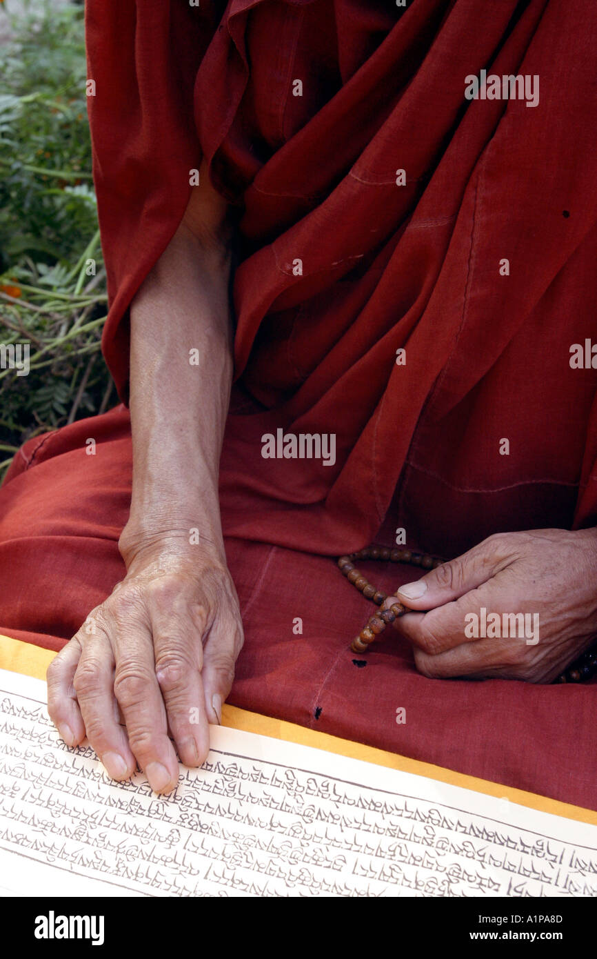 A Tibetan Buddhist monk reads a traditional sutra (scripture) in Pali ...