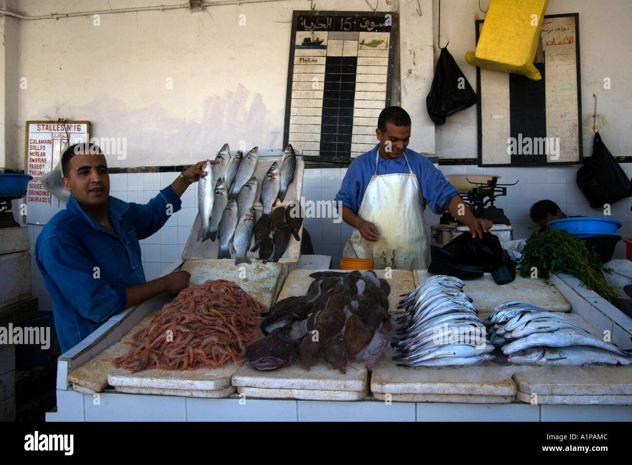 Stall displaying fresh fish at a market in Casablanca, Morocco Stock ...