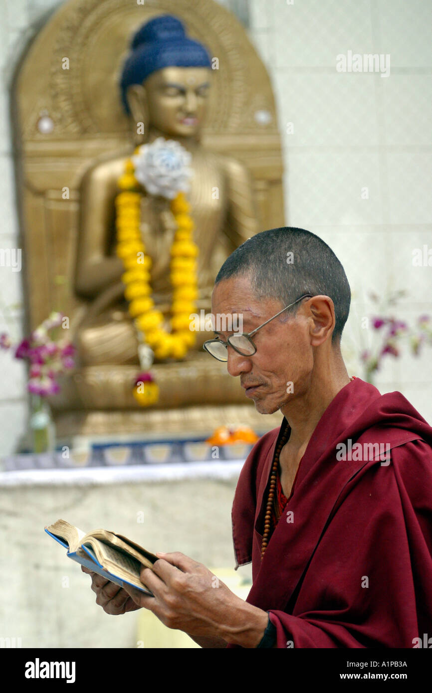 Buddhist monk reading scripture hi-res stock photography and images - Alamy