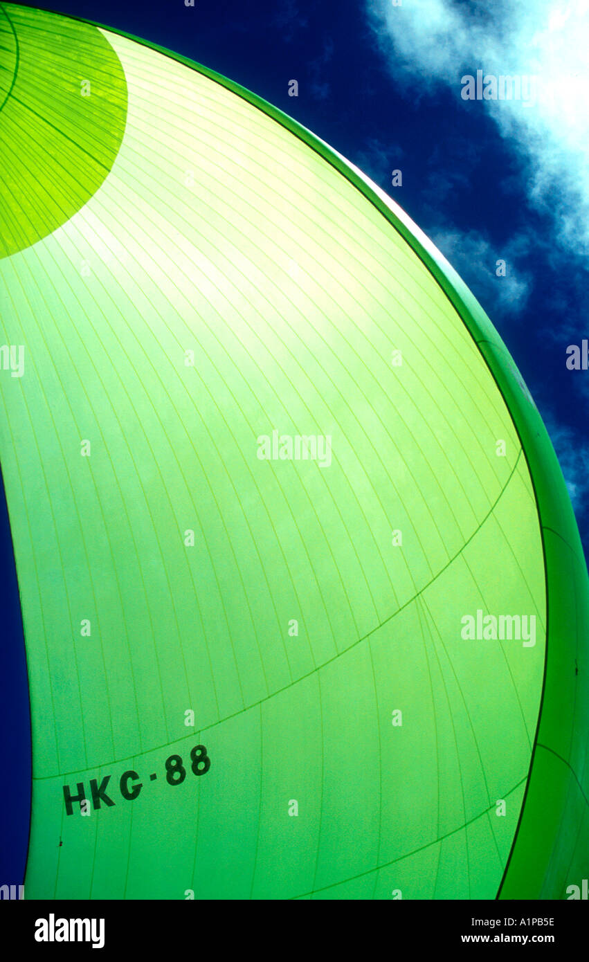 Graphic green yacht spinnaker Queensland Australia Stock Photo - Alamy