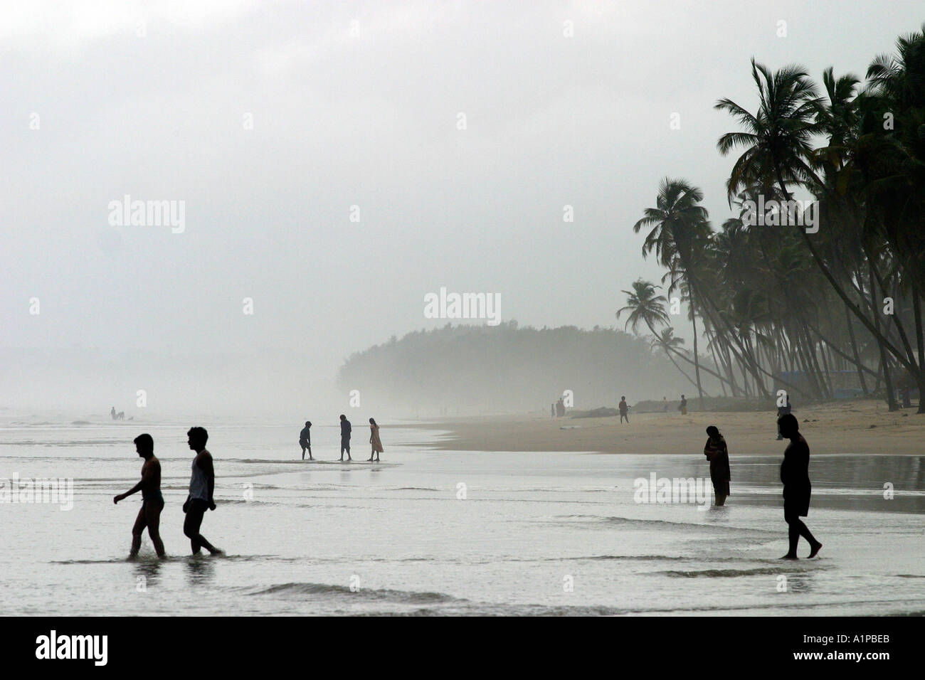 A view of people at Colva Beach in Goa in India Stock Photo - Alamy