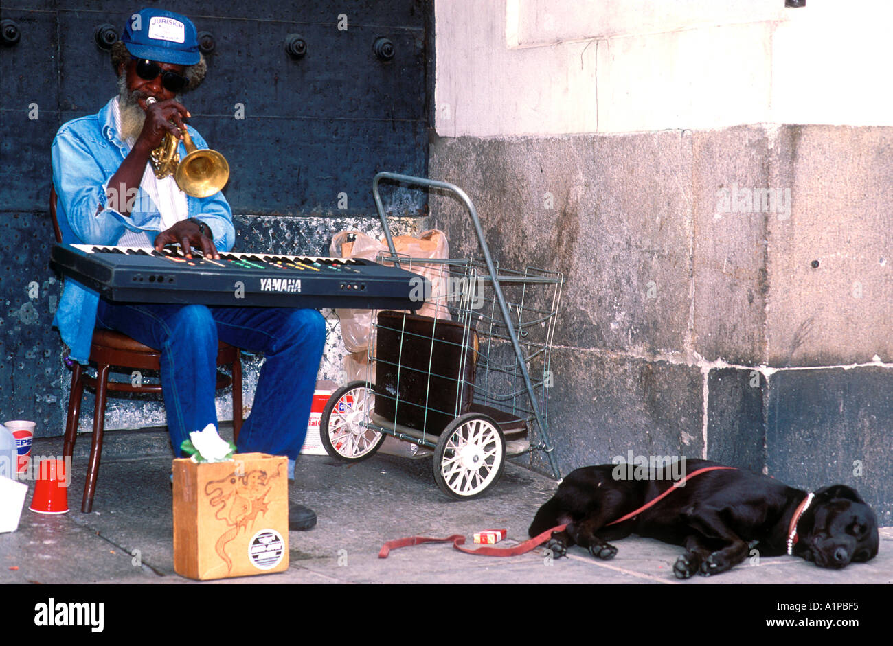Busker with dog plays keyboard, trumpet, New Orleans doorway, Lousiana ...