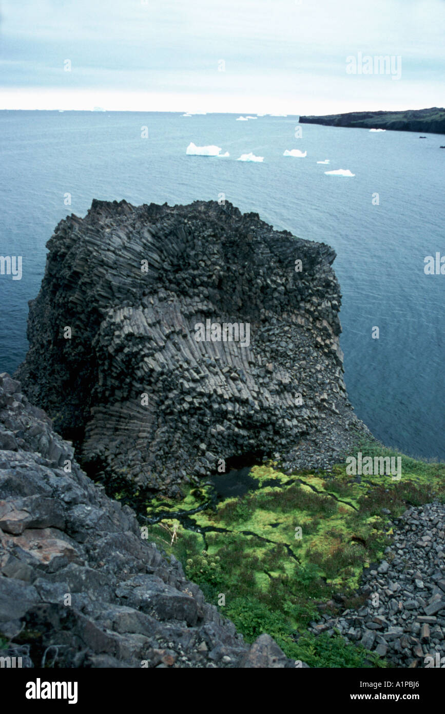 The art of nature Stock Photo - Alamy