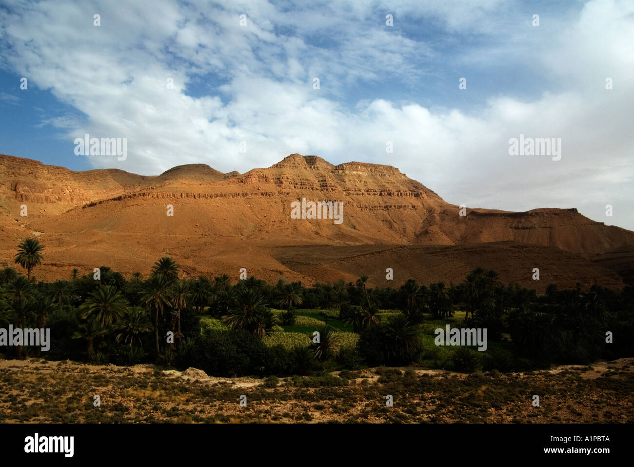 Moroccan landscape en route to the High Atlas Mountains, Morocco Stock ...