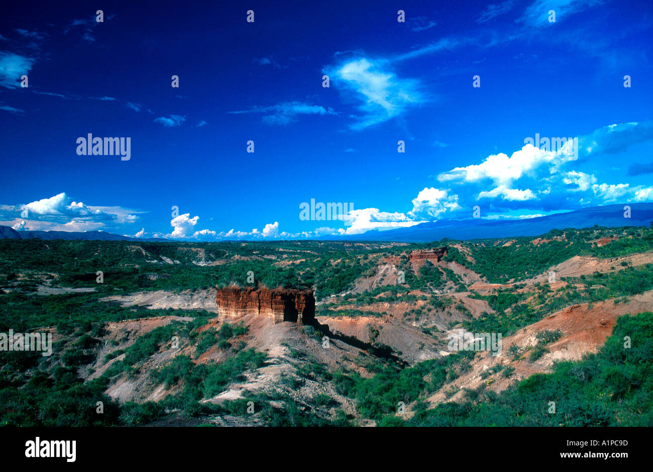 Olduvai gorge museum hi-res stock photography and images - Alamy