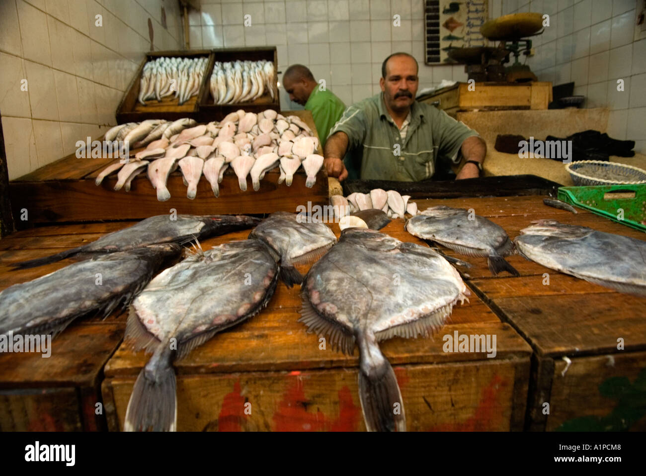 Man selling fish in the Medina of Fes, Morocco Stock Photo - Alamy