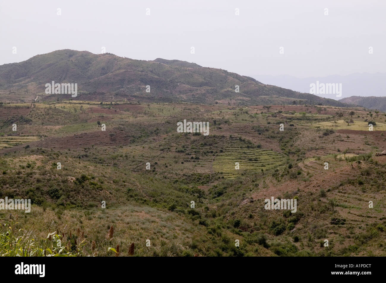 Rolling hills in the Konso region of Ethiopia Stock Photo - Alamy