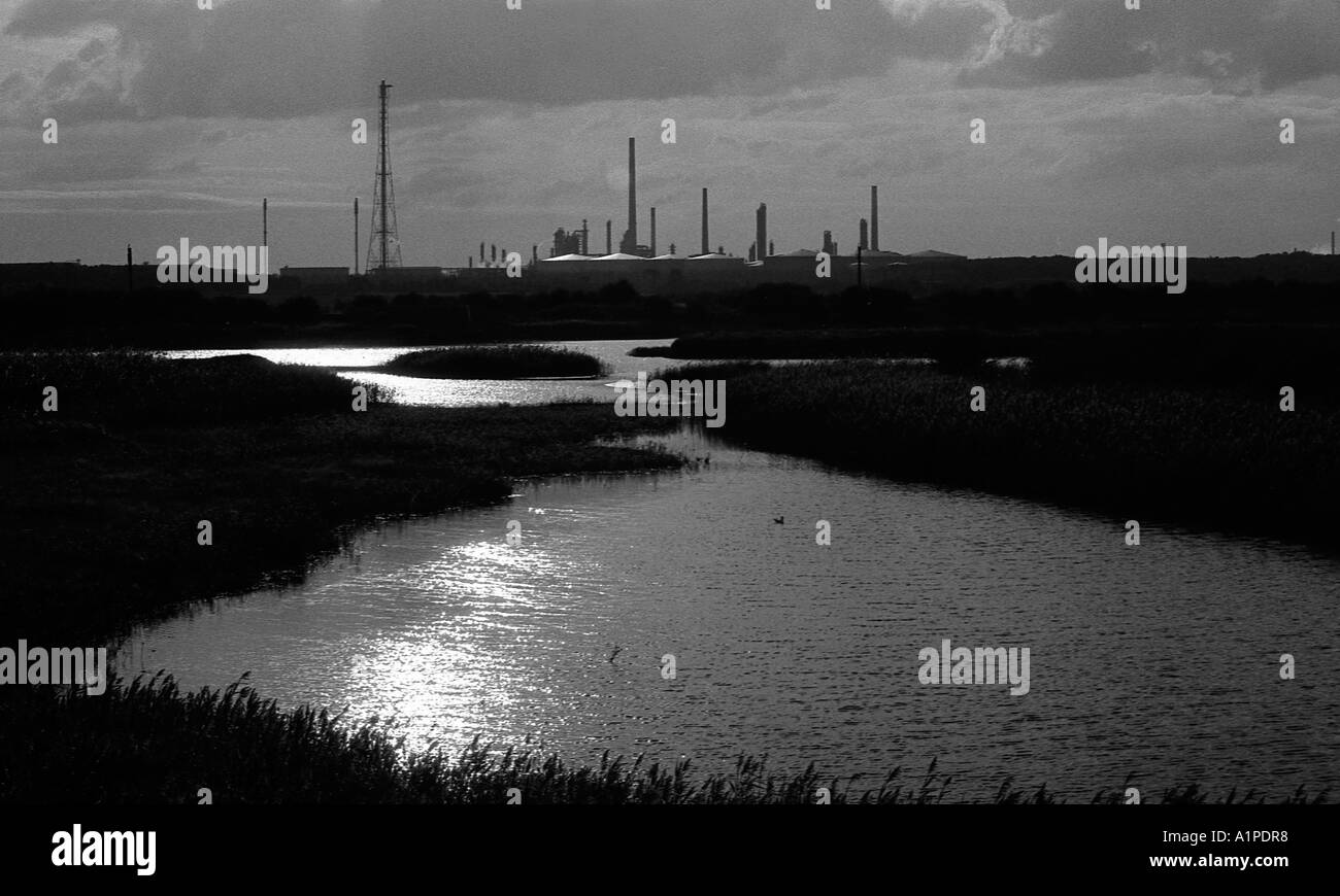 Oil refinery and storage tanks with lake and nature reserve in the ...