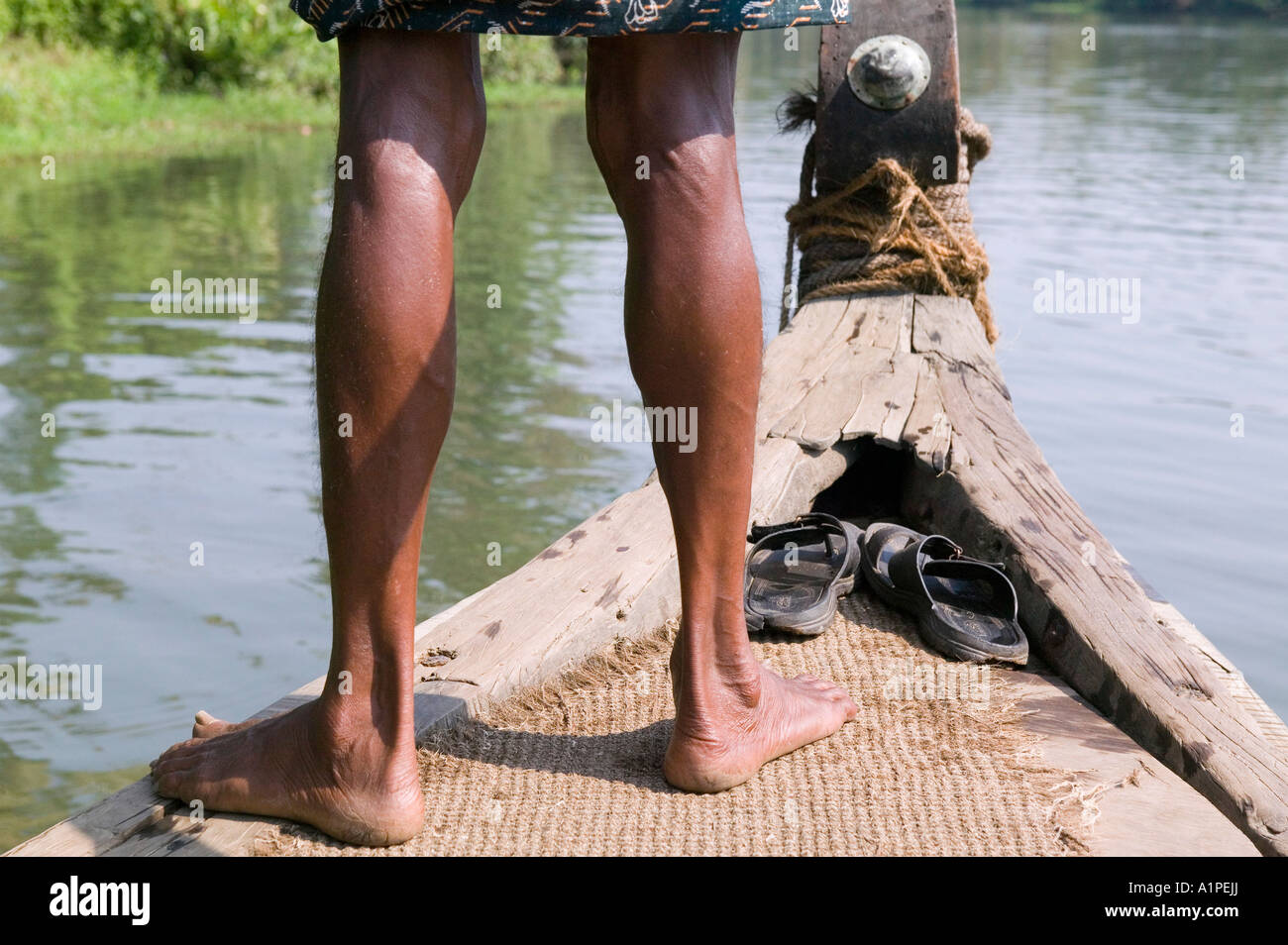 Driver standing at the bow of the boat in Kerala India Stock Photo - Alamy