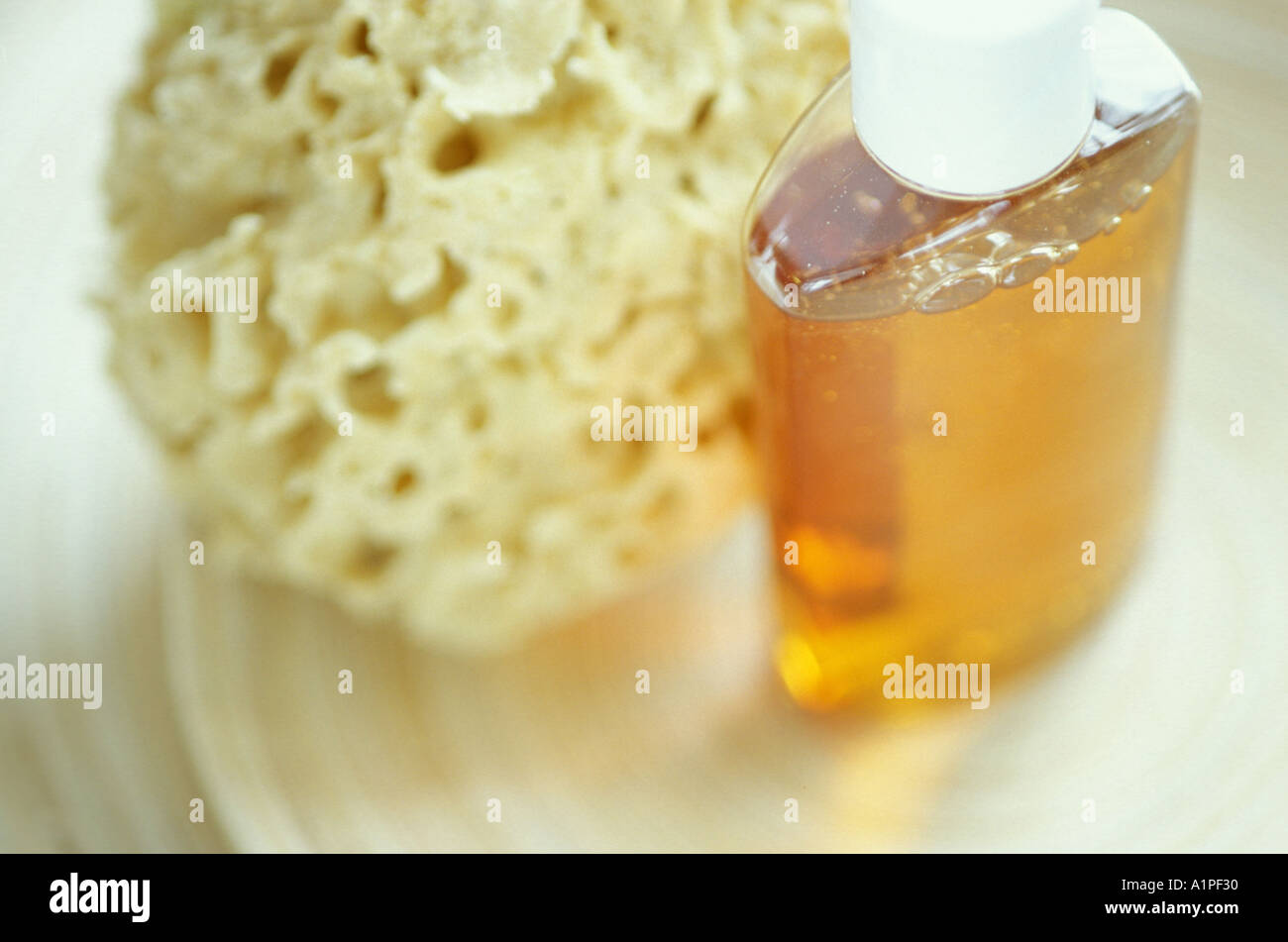 Sponge images hi-res stock photography and images - Alamy