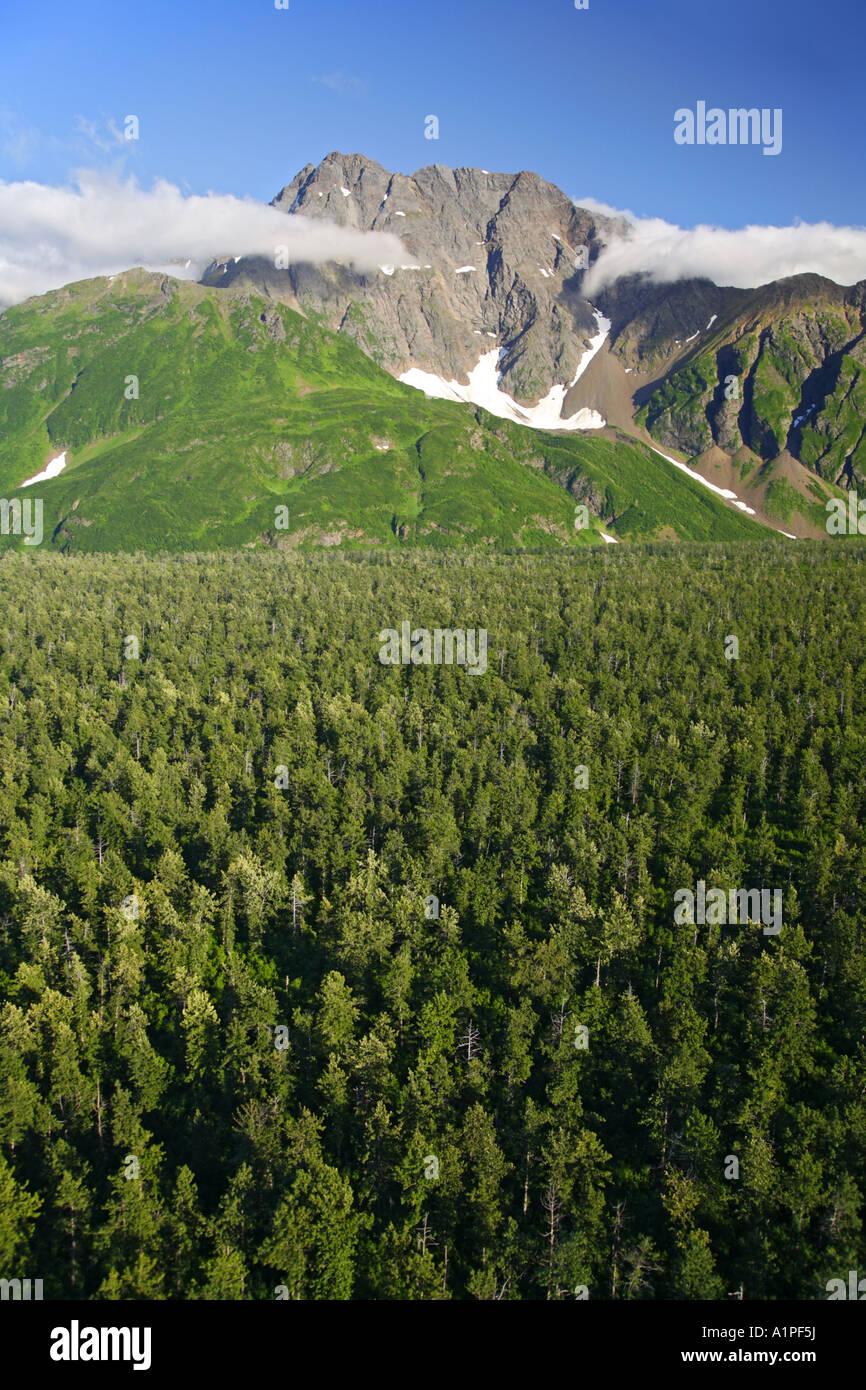 Aerial Goat Mountain Chugach National Forest near Cordova Alaska Stock ...
