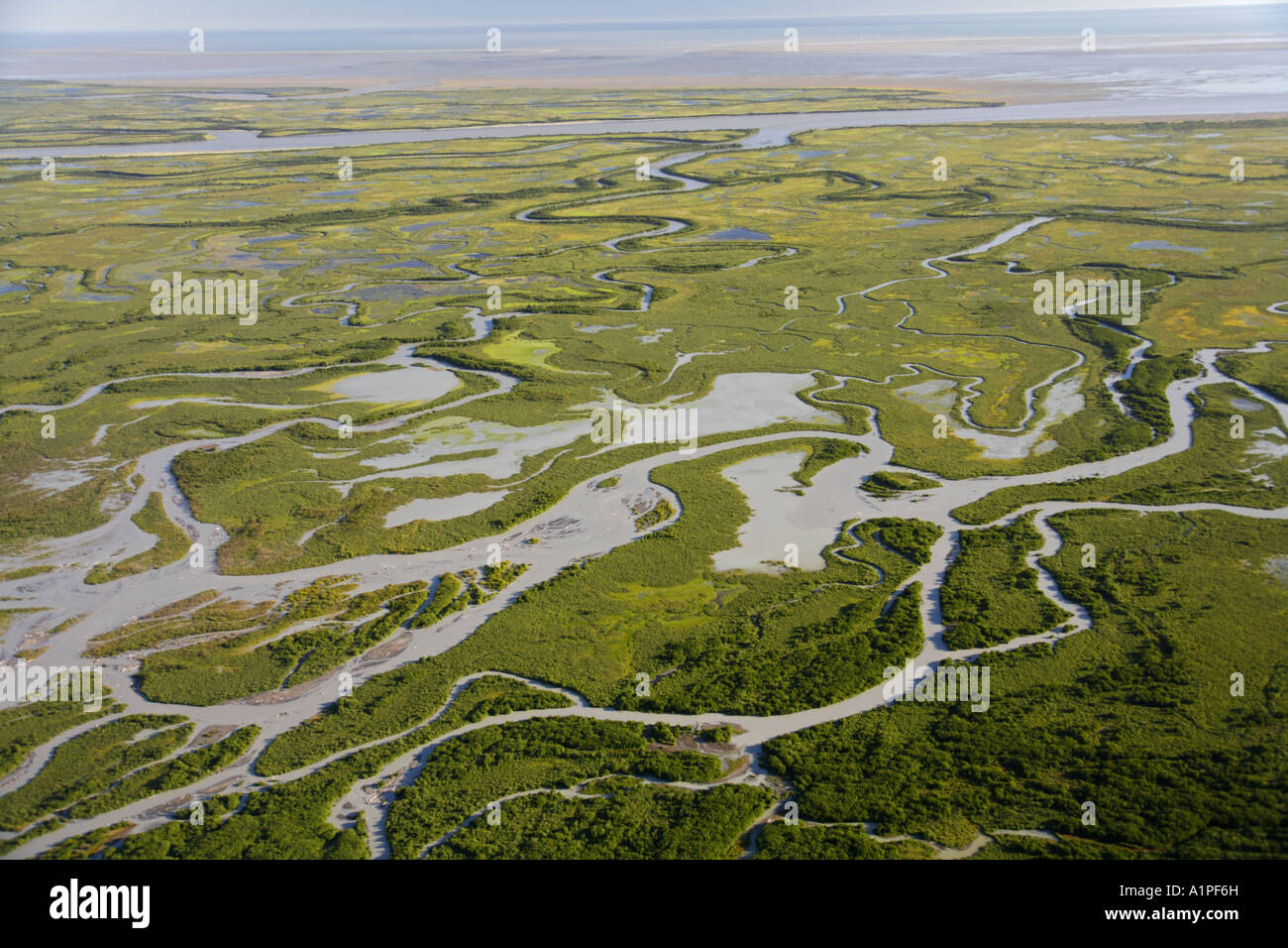 Aerial Copper River Delta Chugach National Forest near Cordova Alaska ...