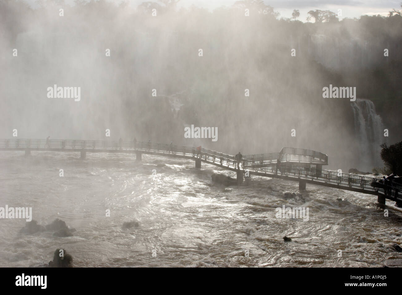 Engulfed By The Jungle High Resolution Stock Photography and Images - Alamy