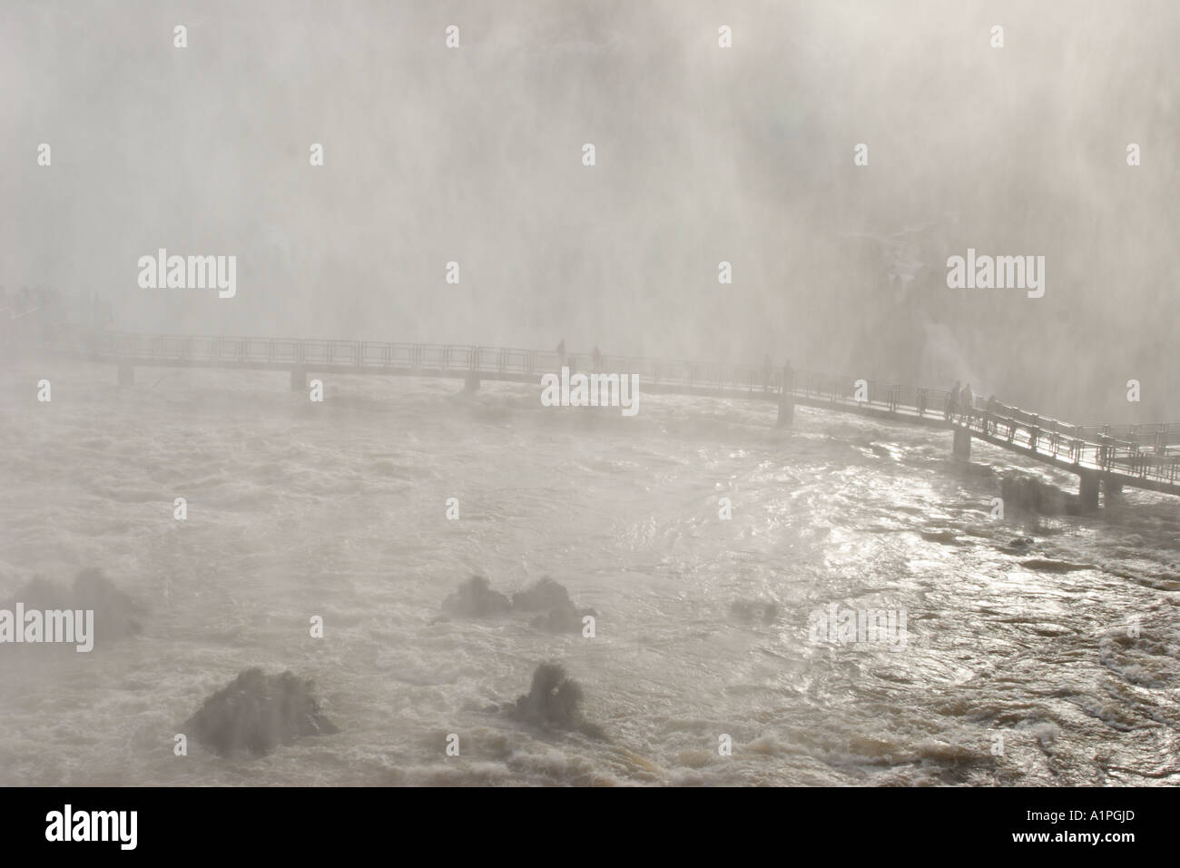 Engulfed By The Jungle High Resolution Stock Photography and Images - Alamy