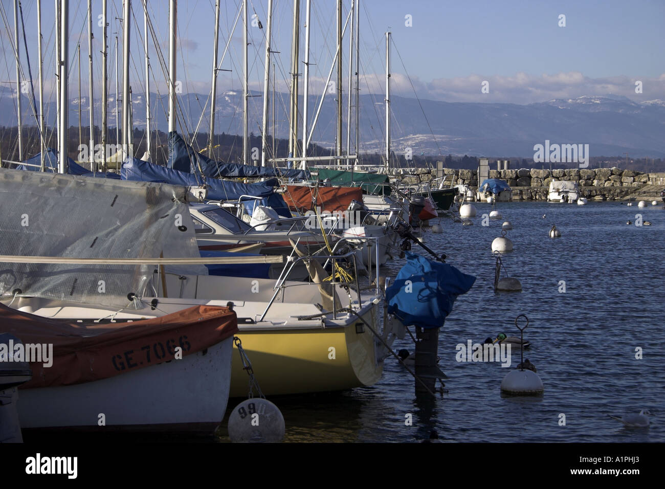 Boats in Geneva Harbour, Switzerland Stock Photo - Alamy