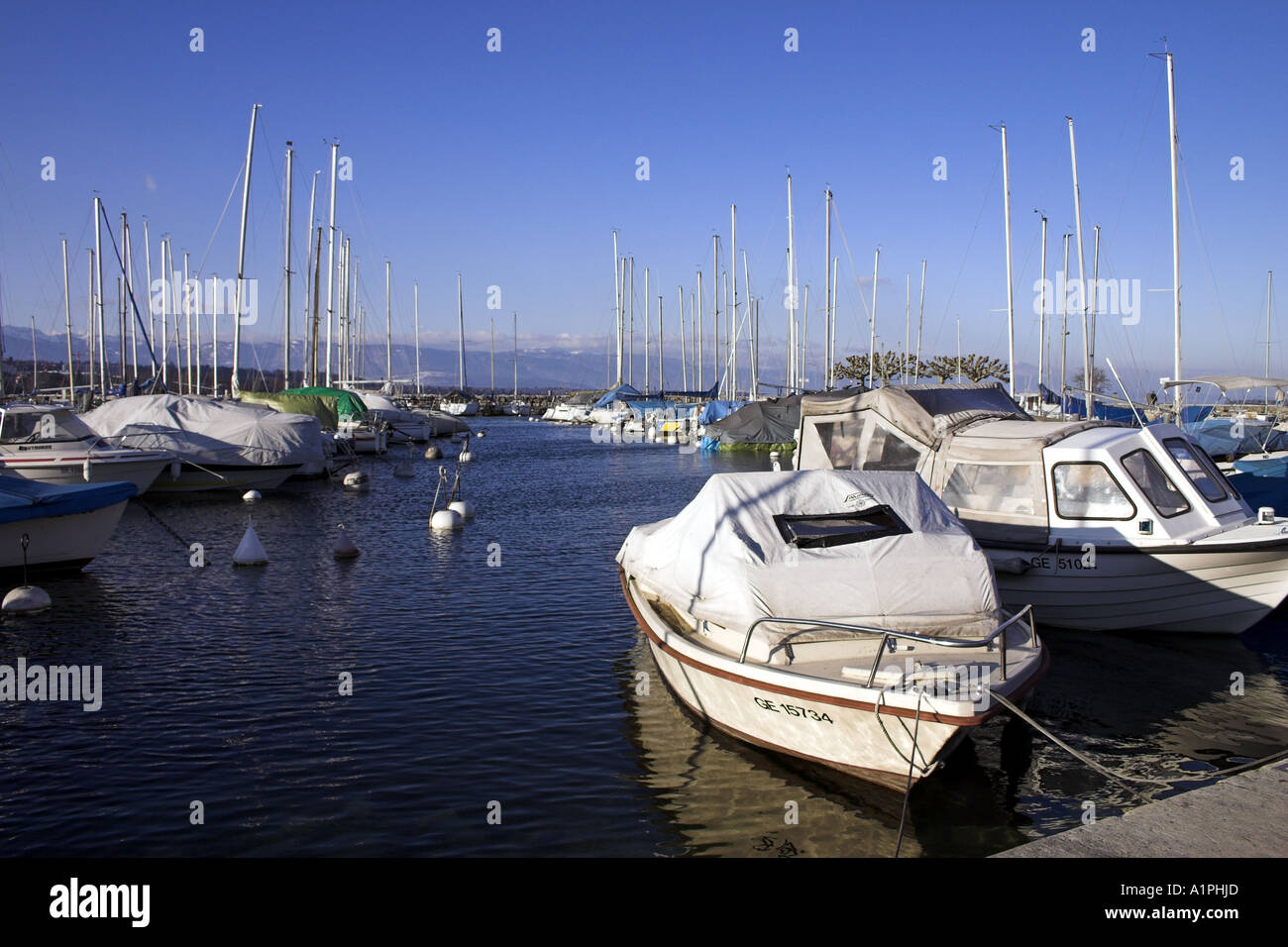 Boats in Geneva Harbour, Switzerland Stock Photo - Alamy