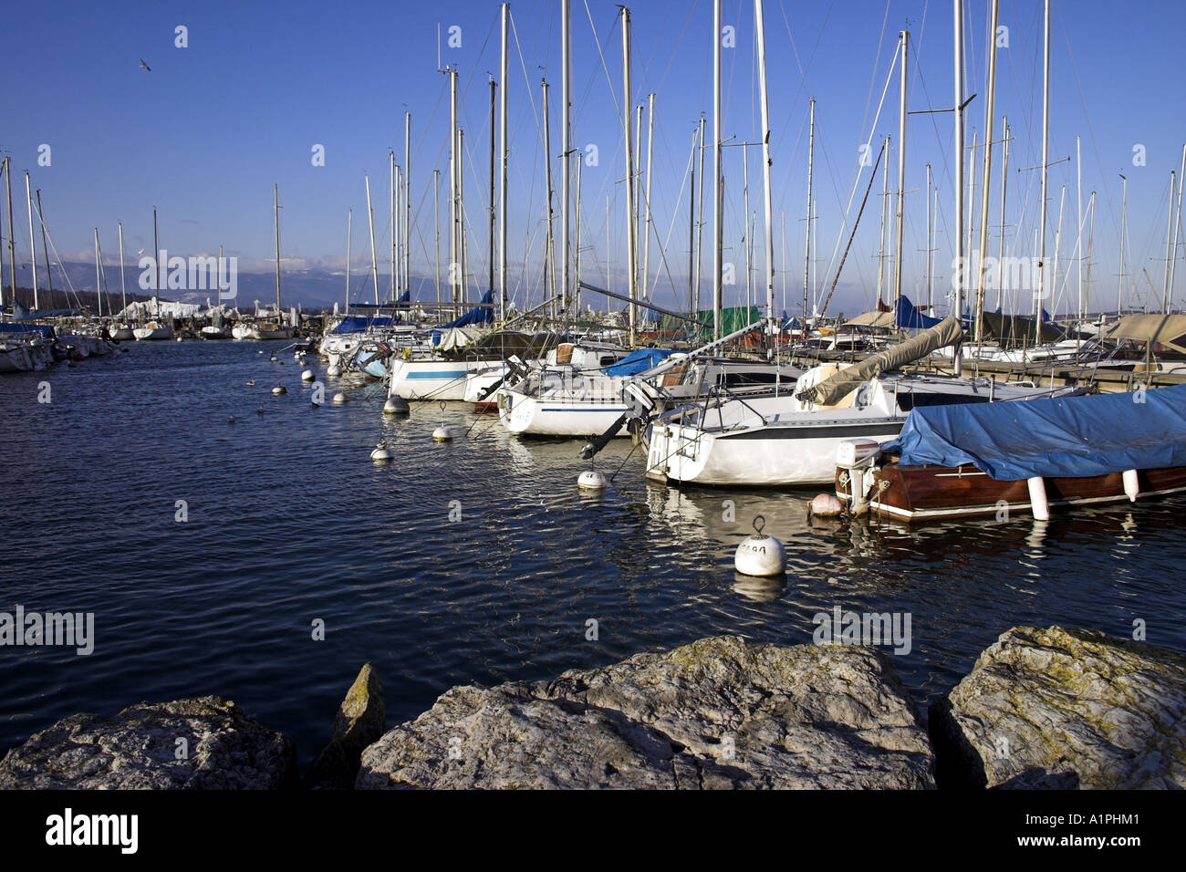 Boats in Geneva Harbour, Switzerland Stock Photo - Alamy