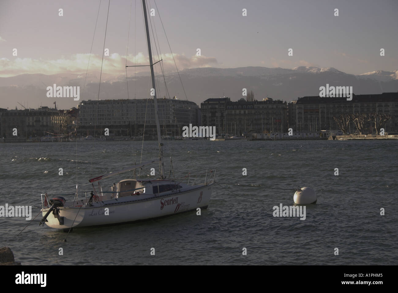 Boats in Geneva Harbour, Switzerland Stock Photo - Alamy