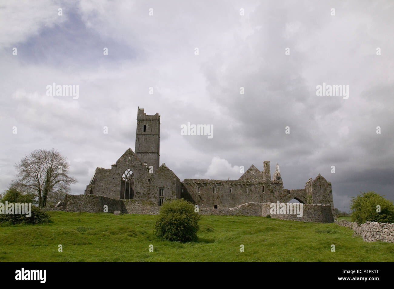Quin Abbey in Ireland Stock Photo - Alamy