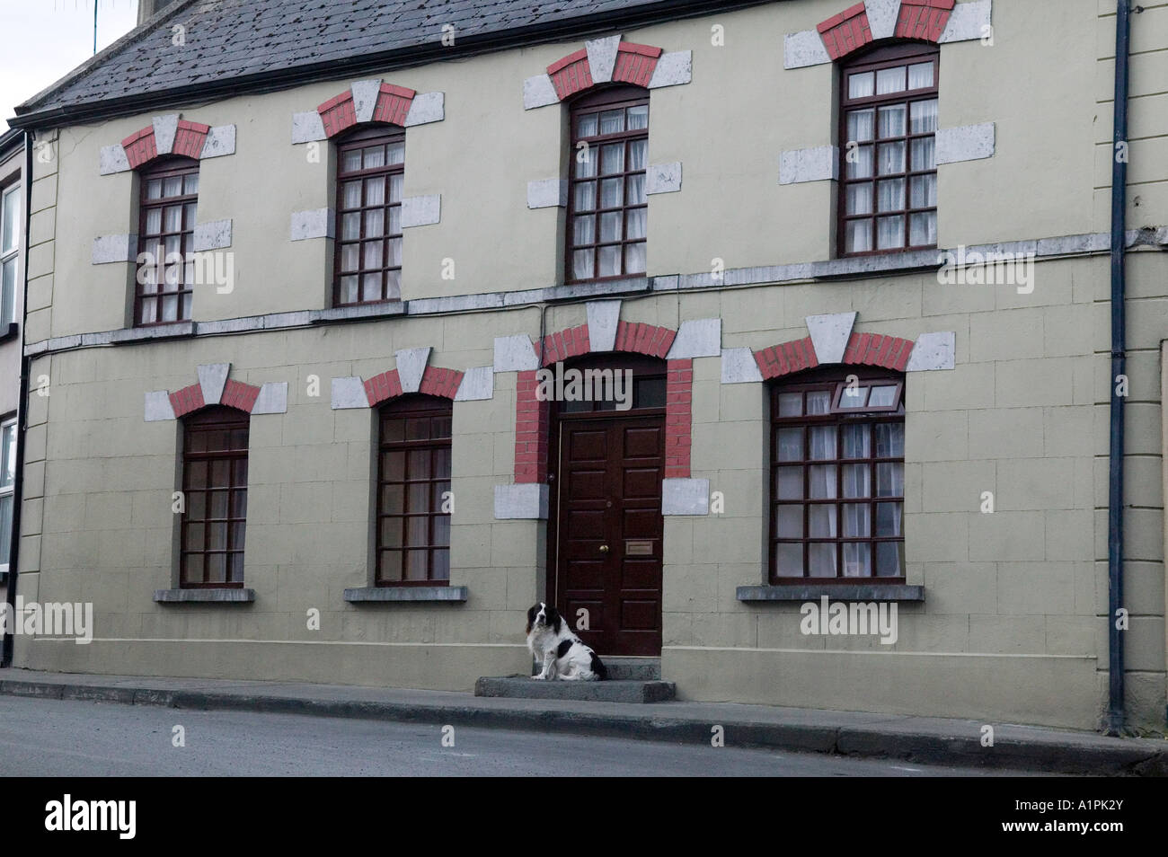A dog waiting on the steps of a building in Cong Ireland Stock Photo ...