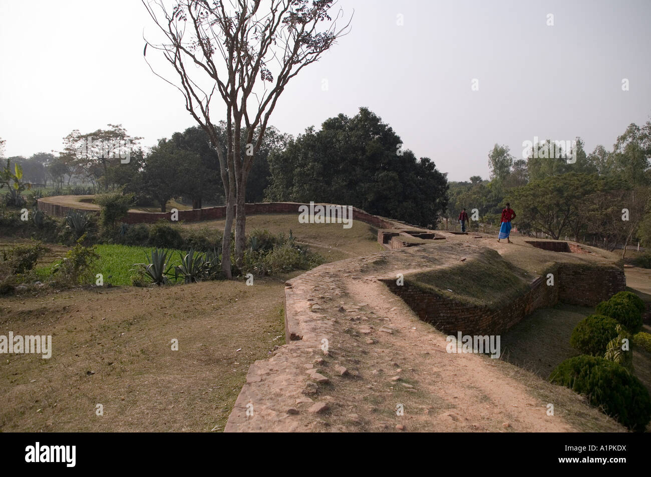 Bogra hi-res stock photography and images - Alamy