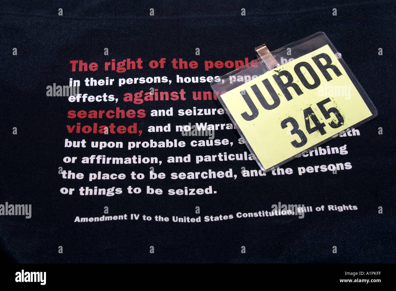 Twenty Fourth Amendment Document