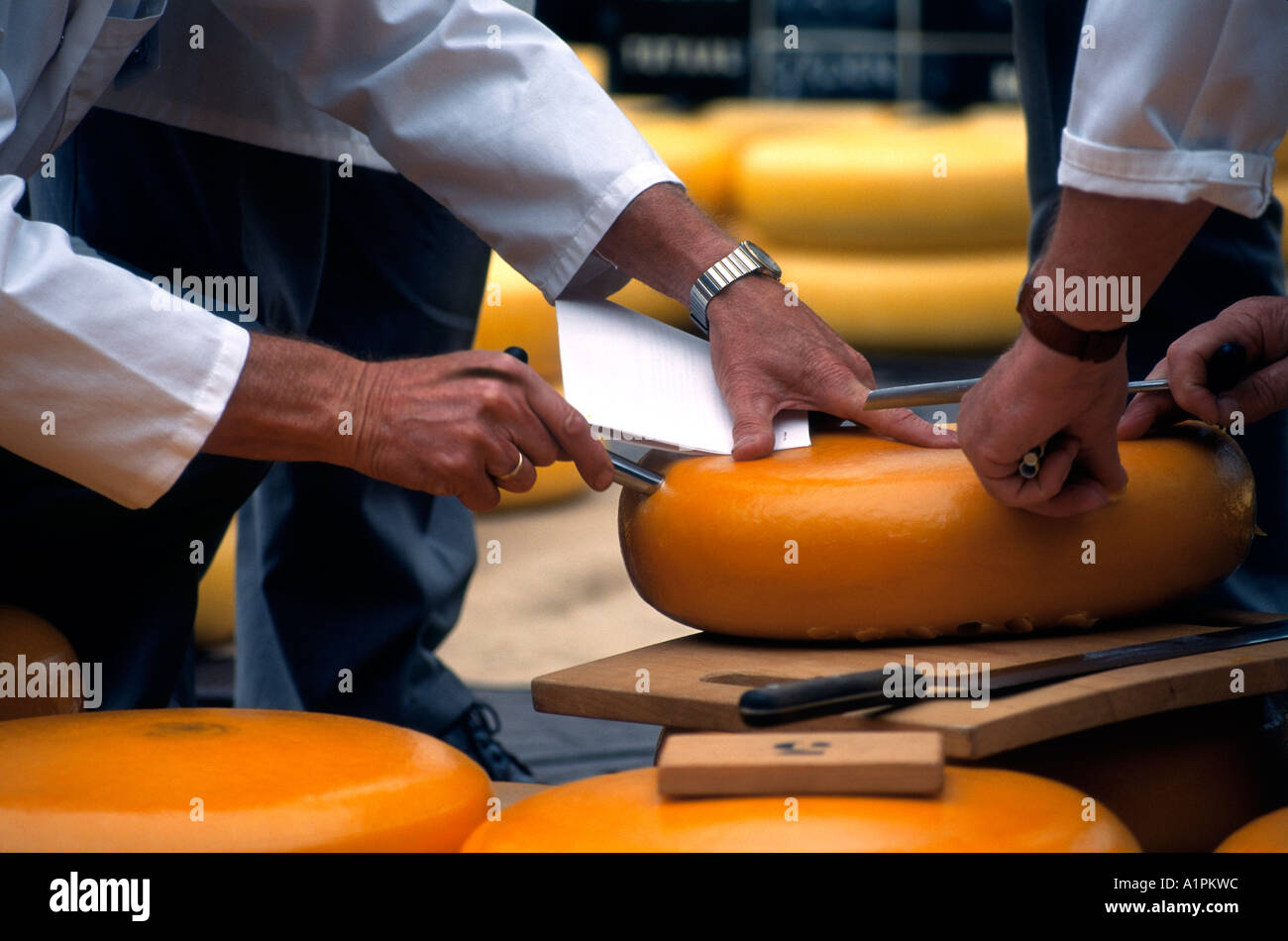 Gouda, Cheese Market, Quality Testing Stock Photo - Alamy
