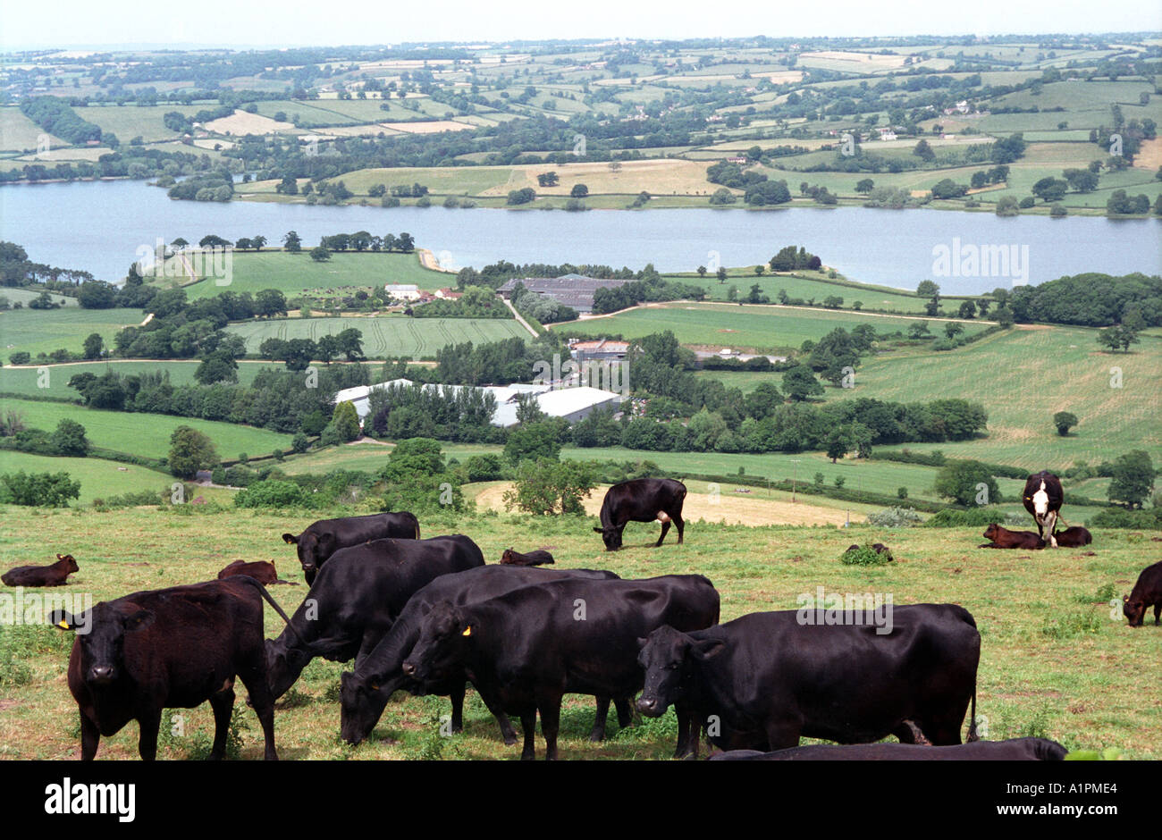 Make yogurt at lake hi-res stock photography and images - Alamy