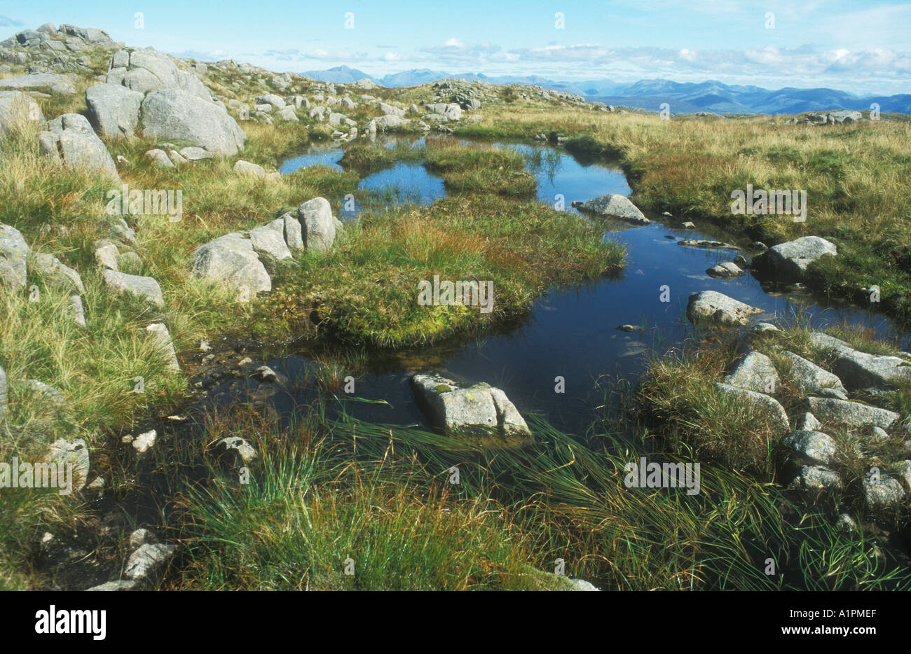 Fresh water bog river source Western Highlands Stock Photo - Alamy