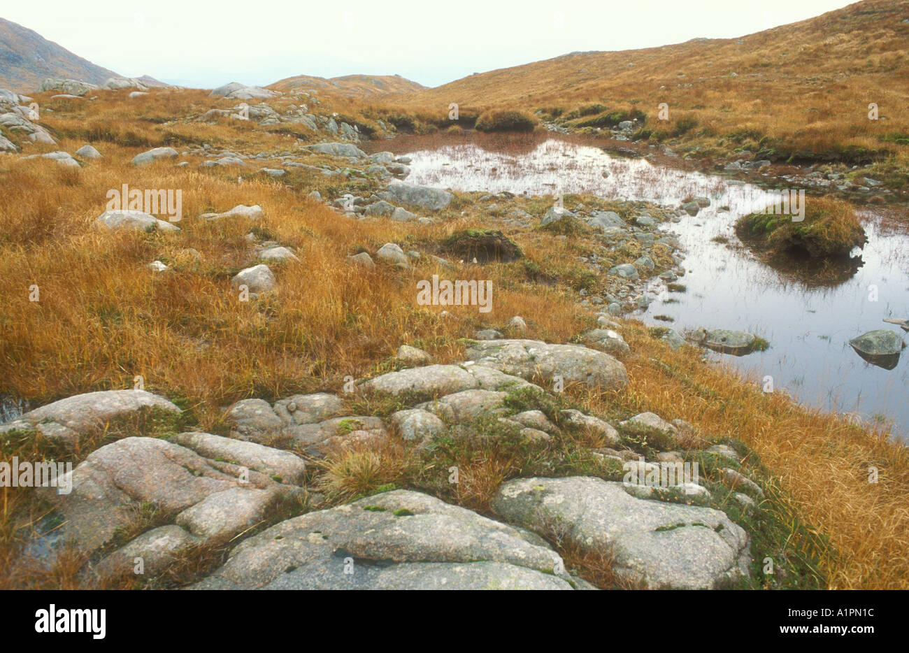 Wild open Scottish hillside with water bog Stock Photo - Alamy