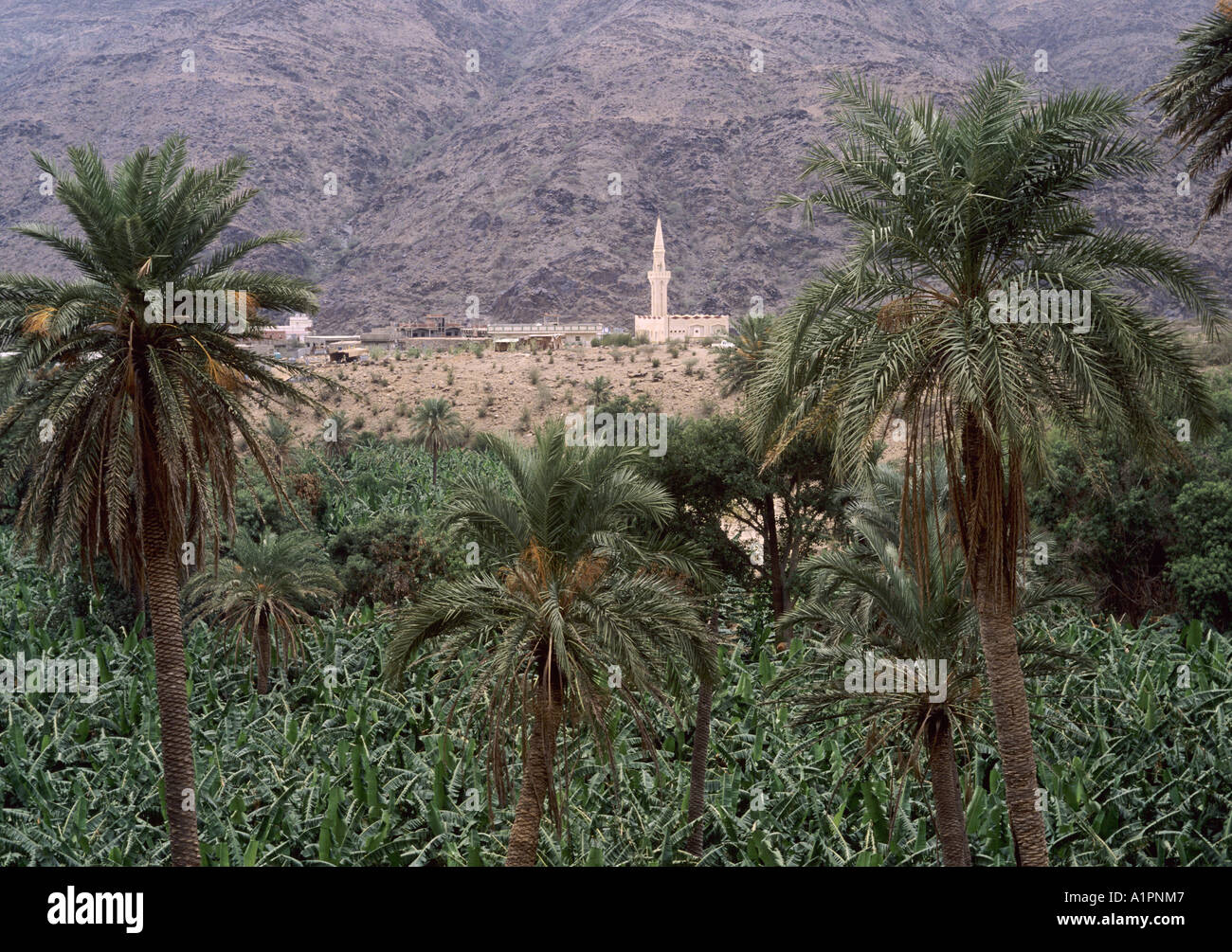 Al baha saudi arabia hi-res stock photography and images - Alamy