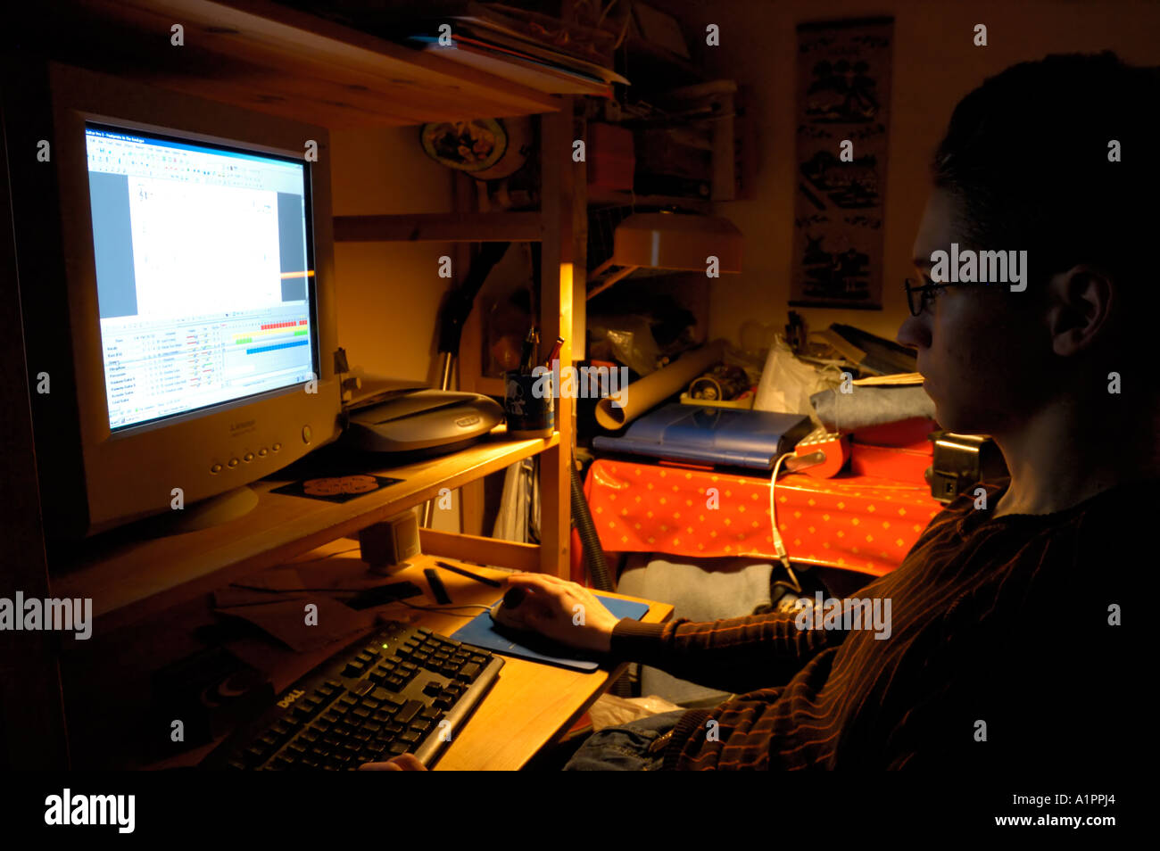 Teenager using computer Stock Photo - Alamy