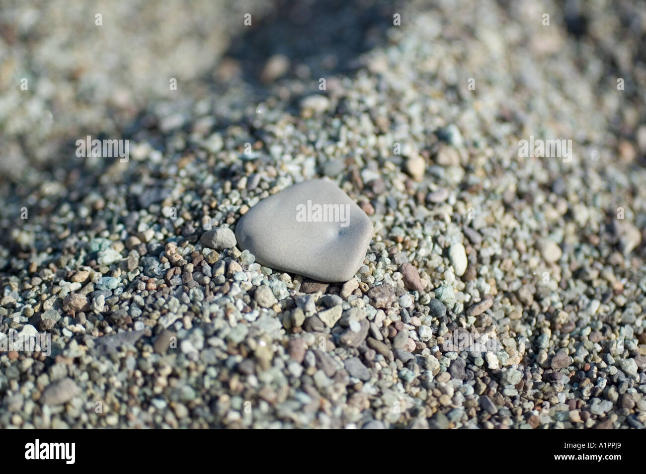 stone on the beach Stock Photo - Alamy