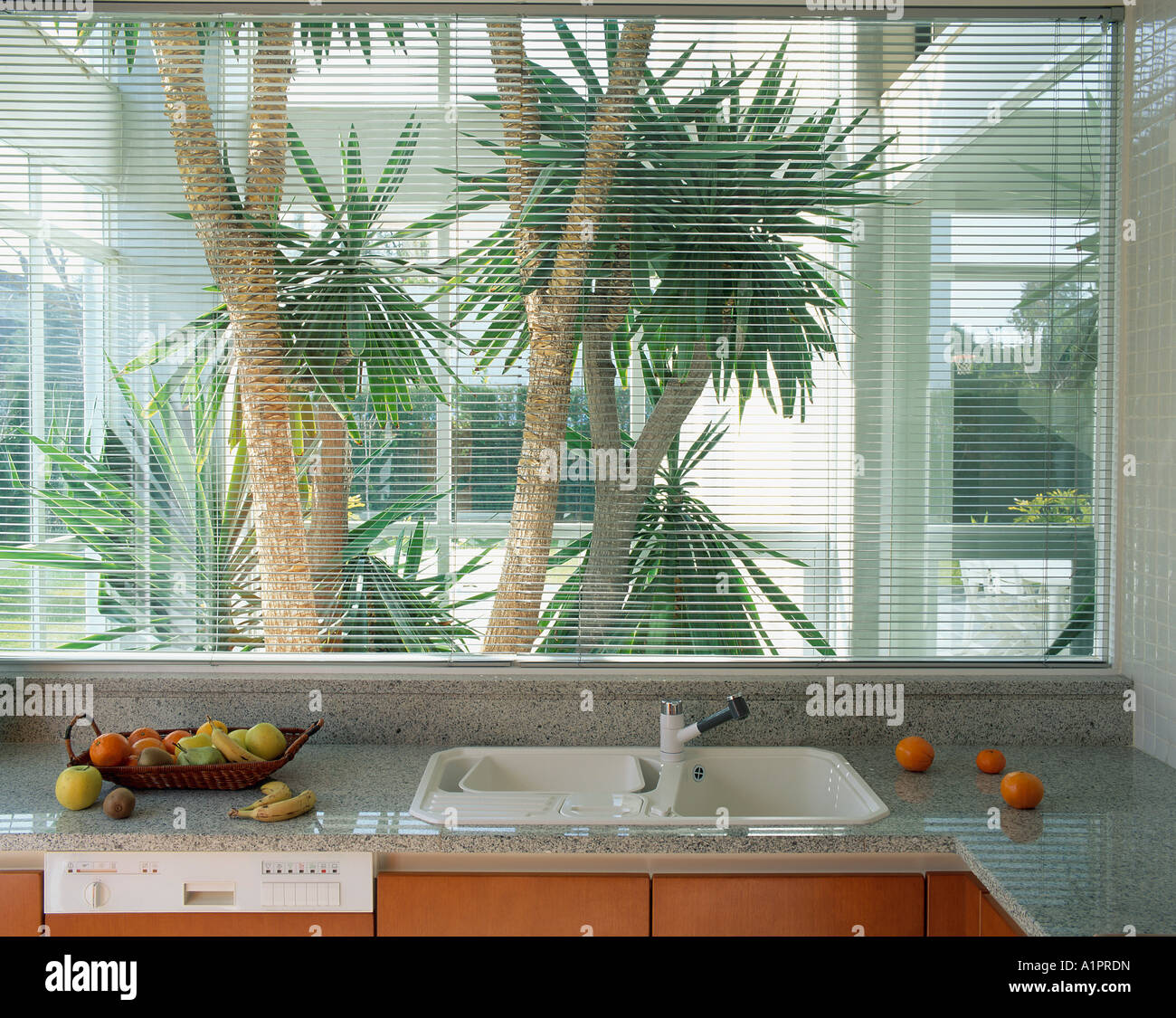 View of exterior plants seen from a kitchen Stock Photo - Alamy