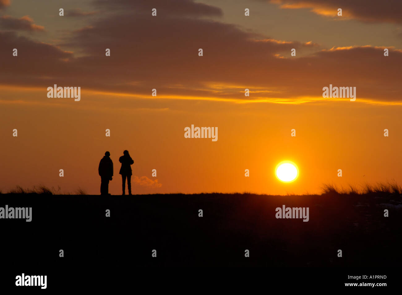 Set family silhouetted hi-res stock photography and images - Alamy