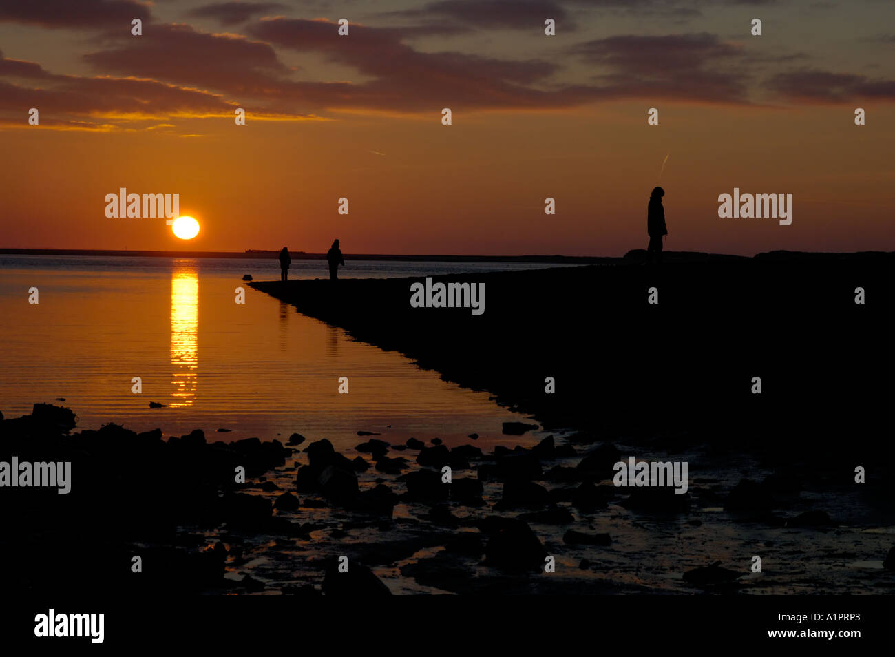 Set family silhouetted hi-res stock photography and images - Alamy