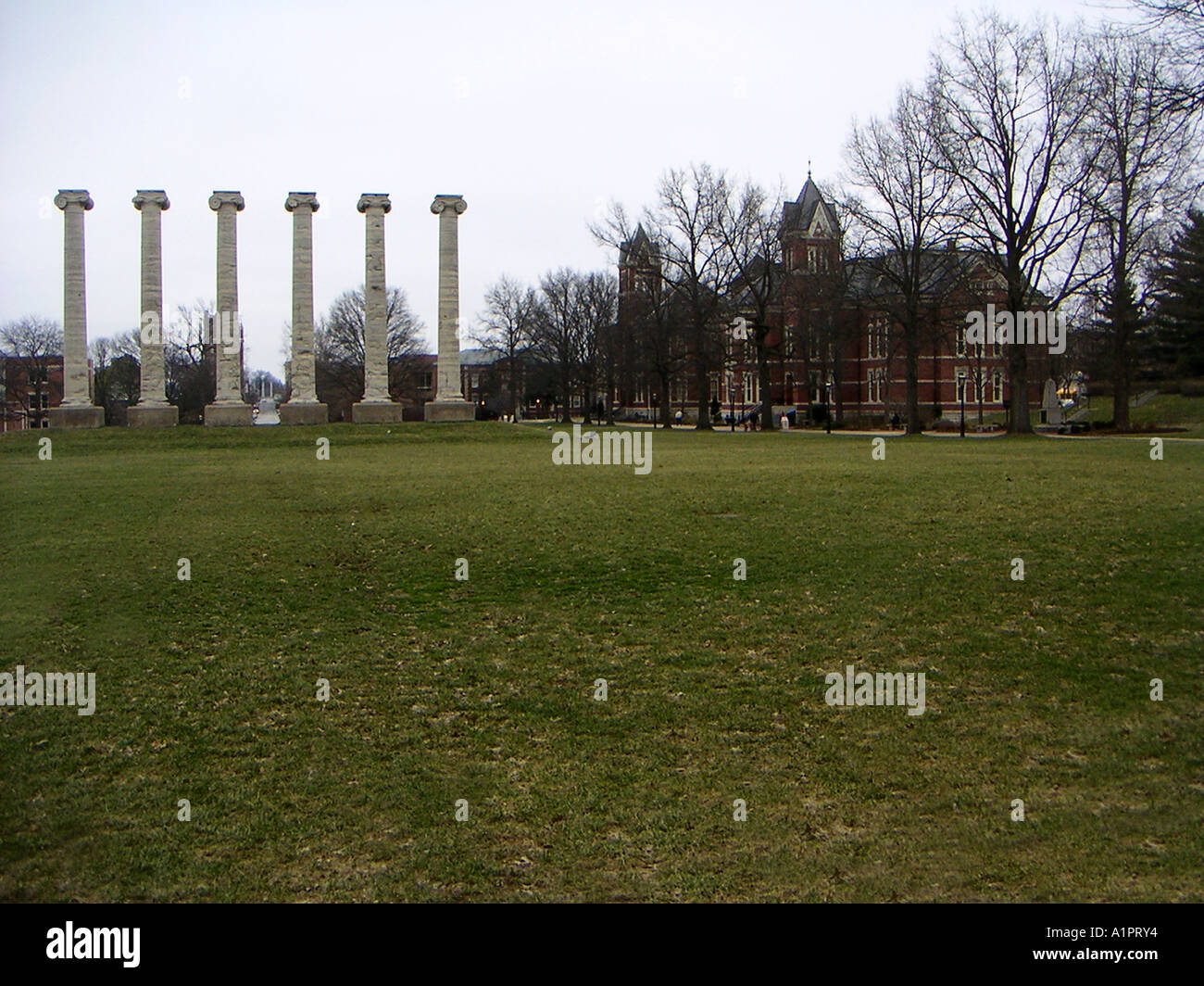 College common ground or quad Stock Photo - Alamy