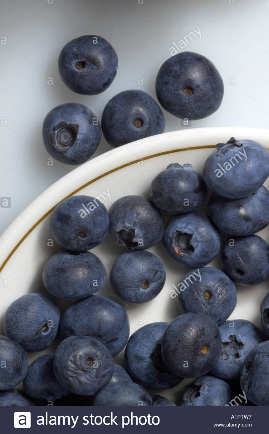 Numerous blueberries hi-res stock photography and images - Alamy