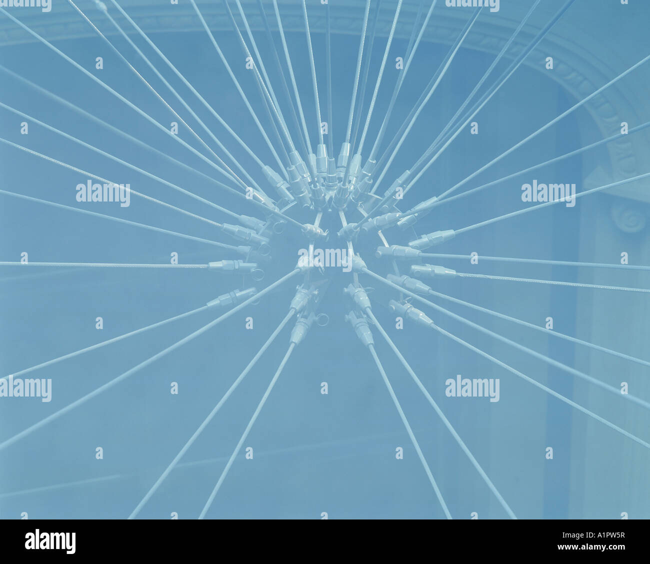 View of metallic strings Stock Photo - Alamy