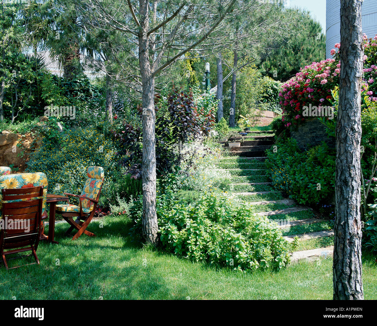 Landscaping surrounds a seating arrangement Stock Photo - Alamy