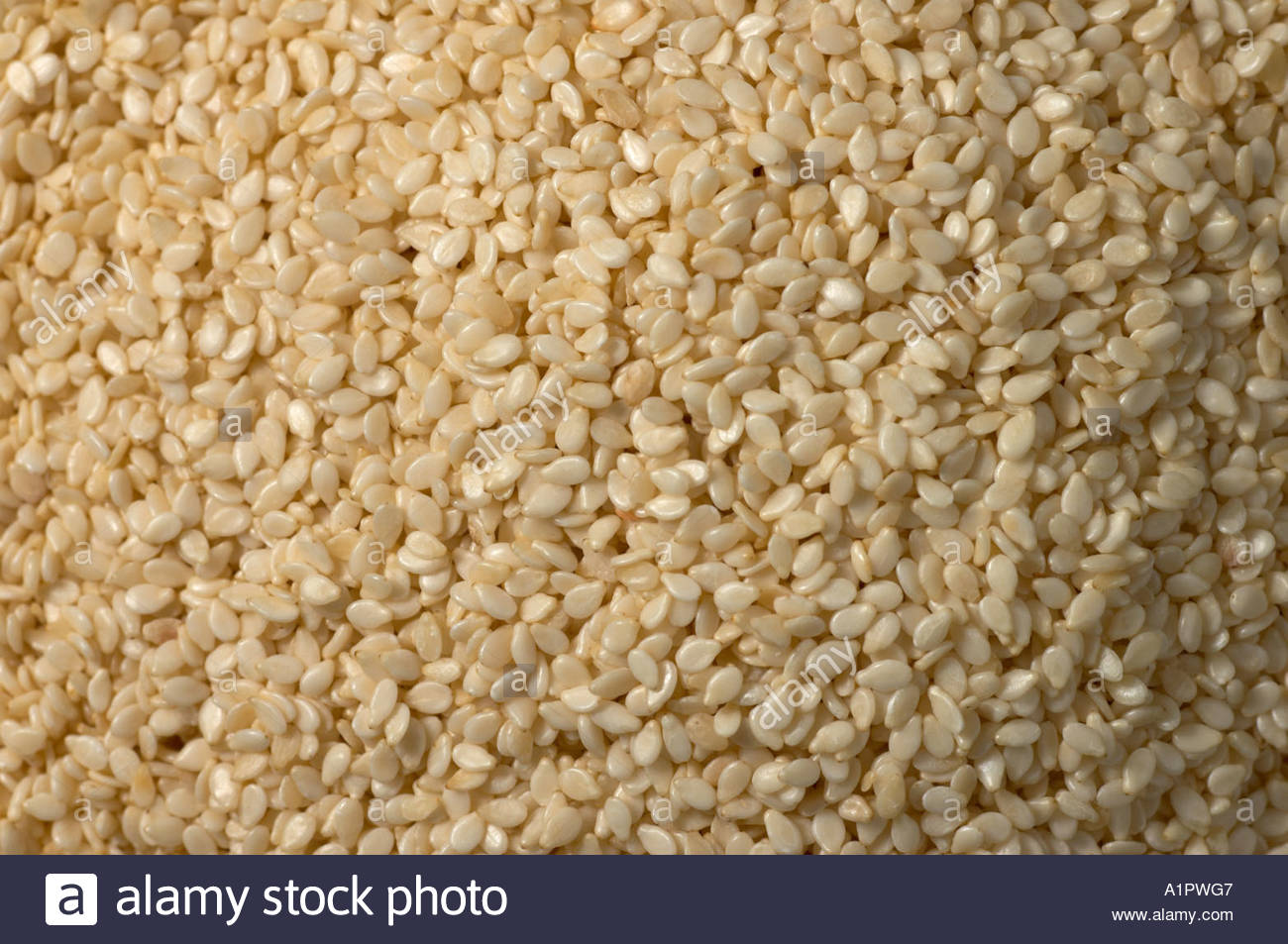 A number of sesame seeds Stock Photo - Alamy