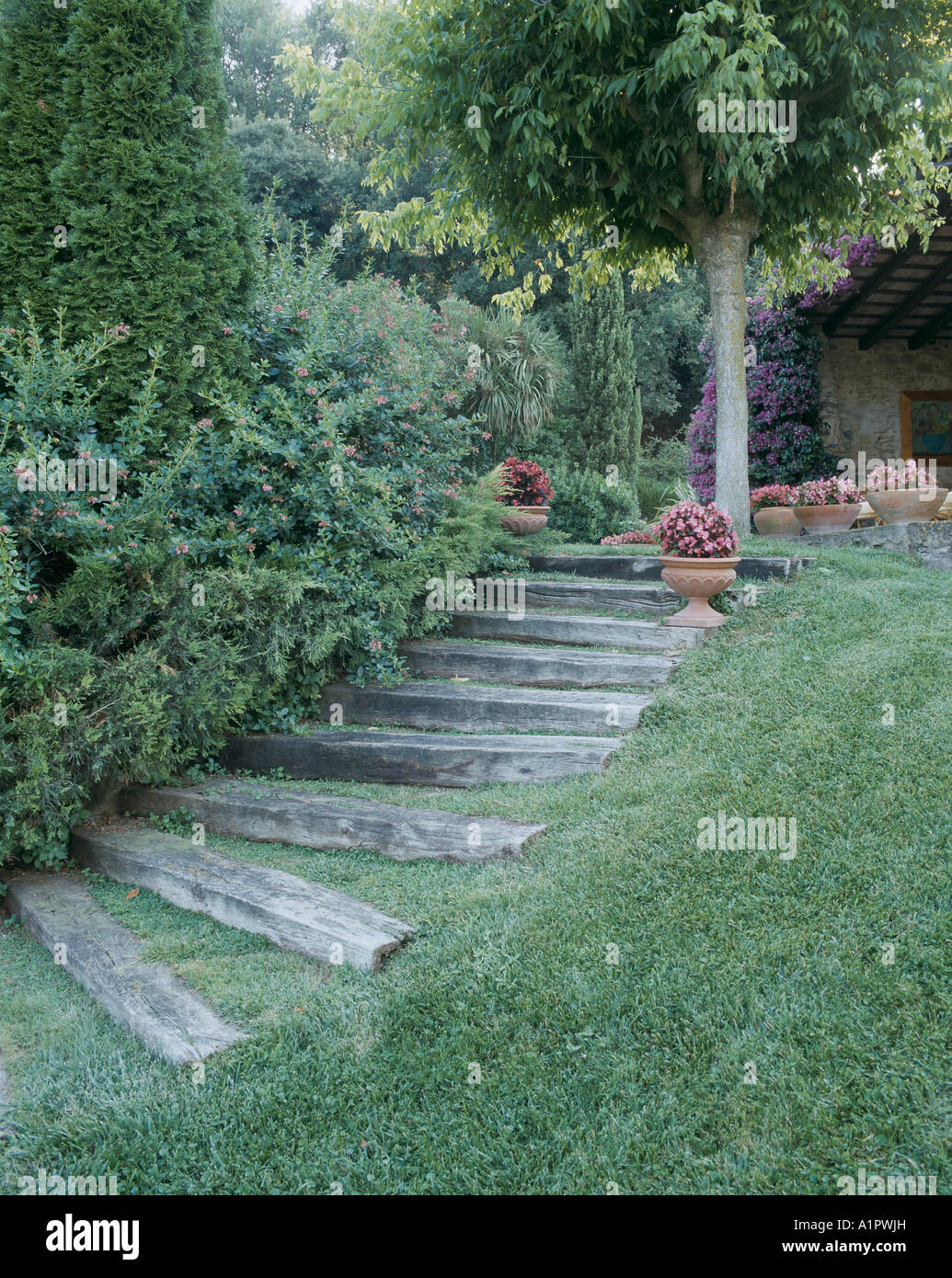 A set of steps are seen beside a lawn Stock Photo - Alamy