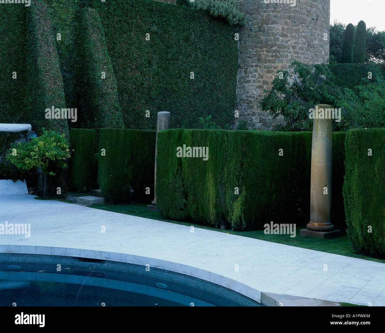 View of well pruned trees in a garden Stock Photo - Alamy