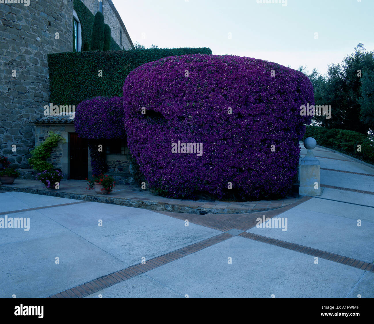 View of well pruned plants Stock Photo - Alamy