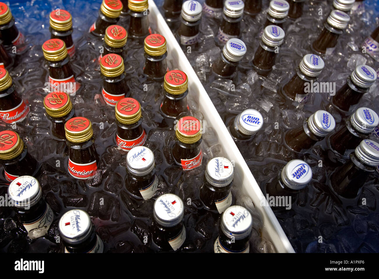 Beer chilling on ice Stock Photo - Alamy