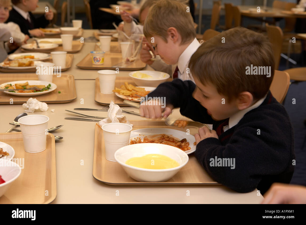 Children eating lunch at primary school Stock Photo - Alamy