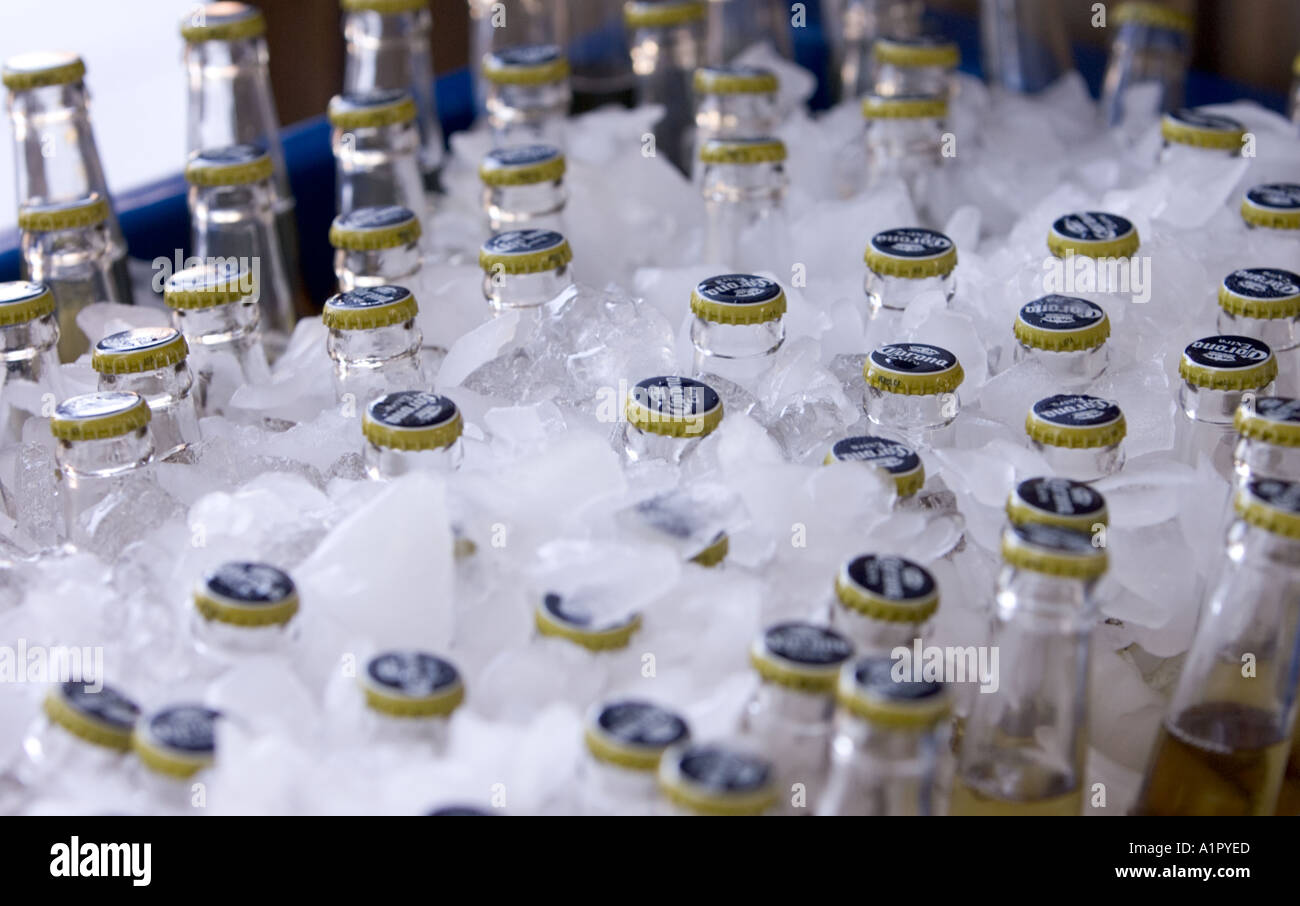 Beer chilling on ice Stock Photo - Alamy