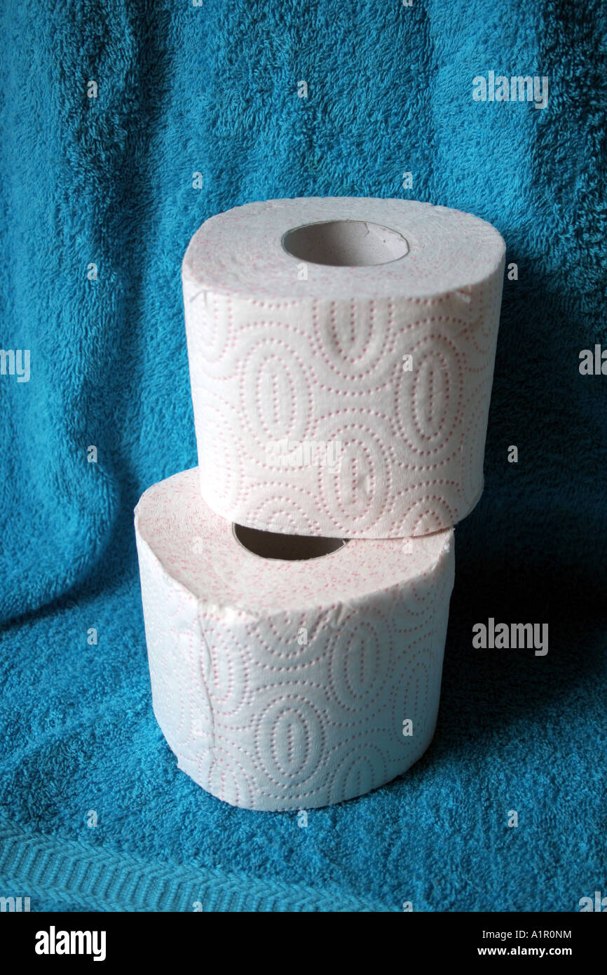 Toilet toliet paper hi-res stock photography and images - Alamy