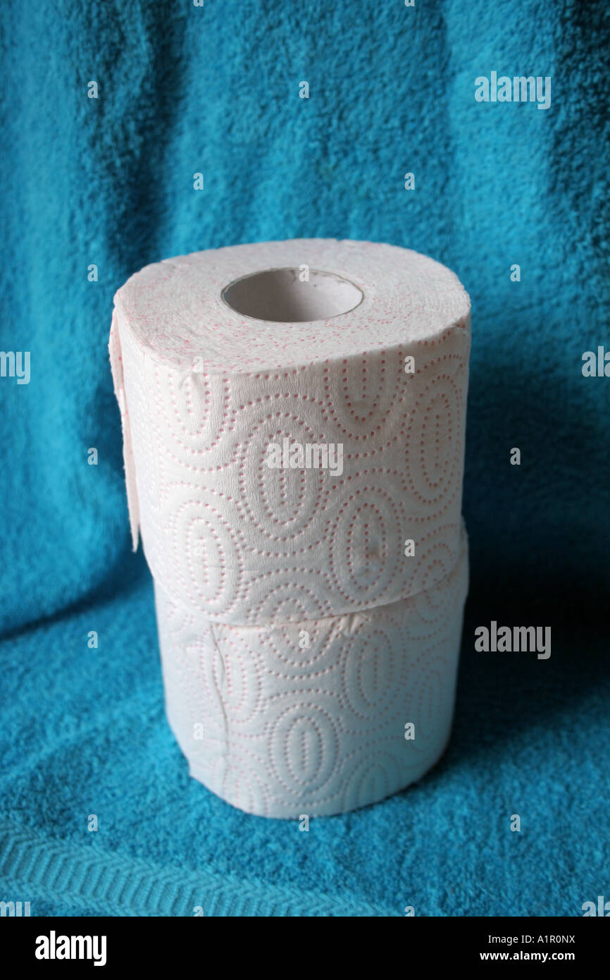 Toilet toliet paper hi-res stock photography and images - Alamy