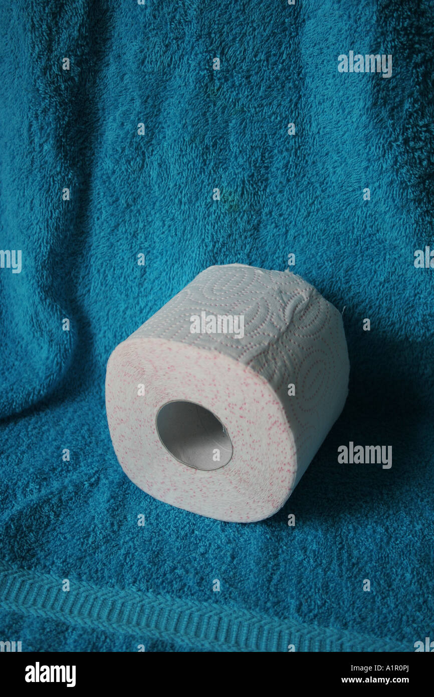 Toilet toliet paper hi-res stock photography and images - Alamy